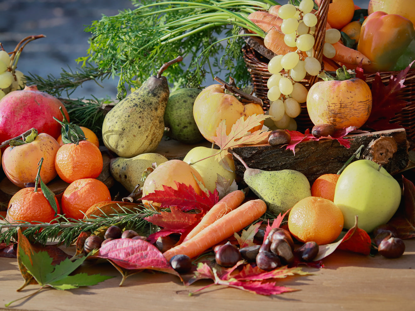 Vancouver Freeze Dry - Canadian Freeze-Dried Fruits Vegetables Supply