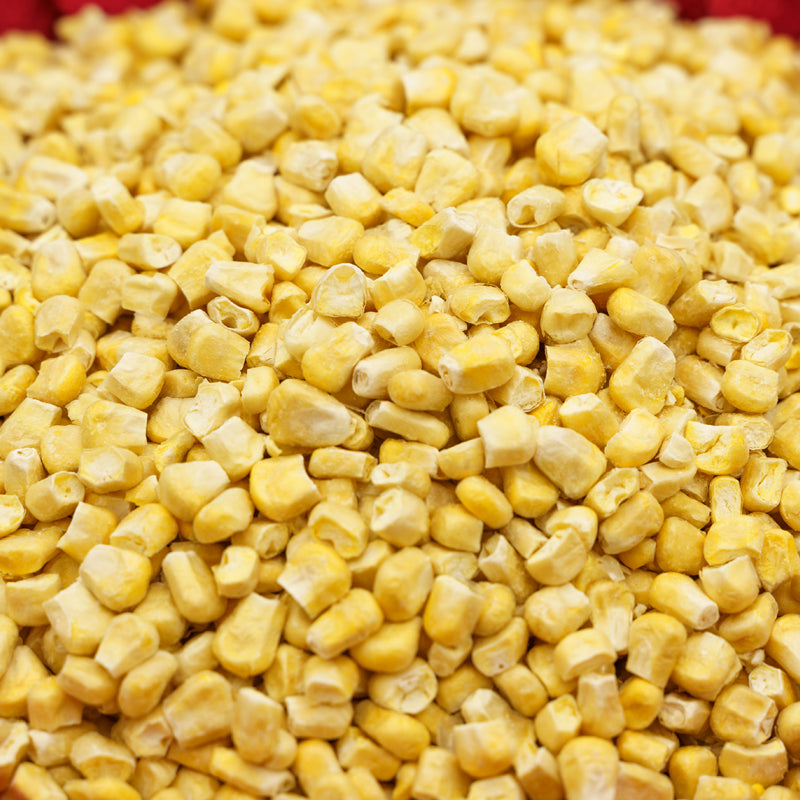 Freeze-Dried Sweet Corn - Corn Kernels Wholesale - Light and Fluffy Sn
