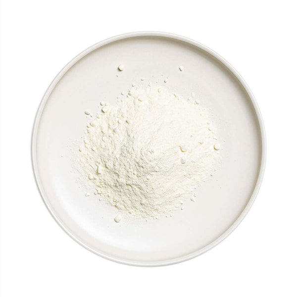 Freeze Dried Apple Powder - Freeze-Dried Apple Powder Bulk